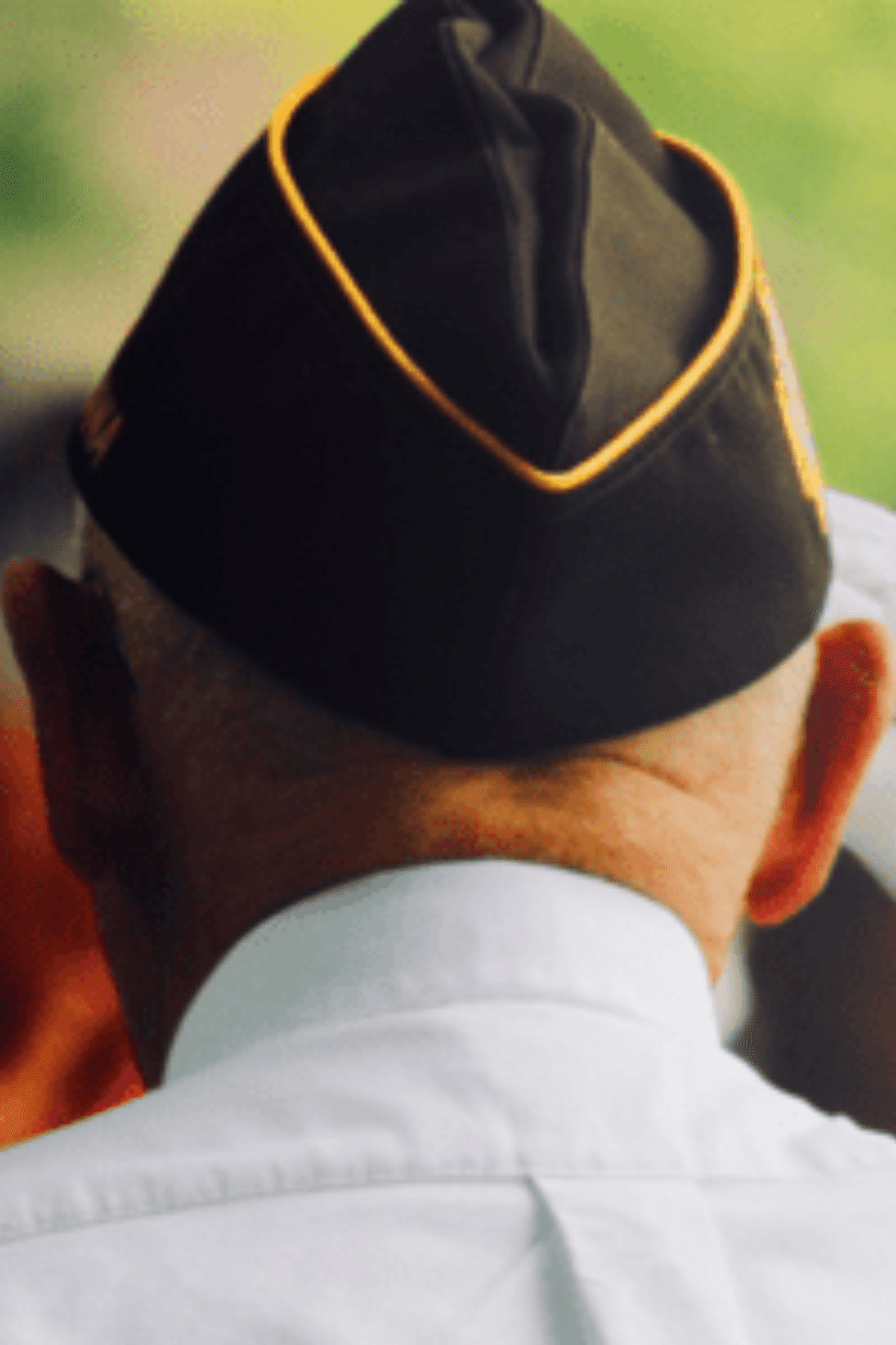 Veterans Care for Skilled Nursing and Short-Term Rehabilitation - Sunny ...